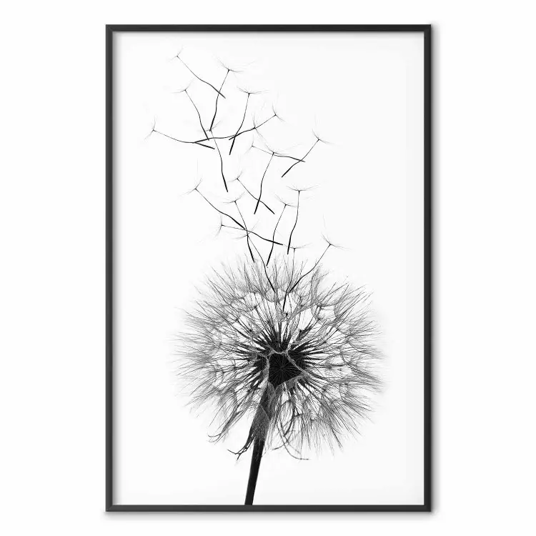 Wandposter Pusteblume im Wind - Poster - bimago
