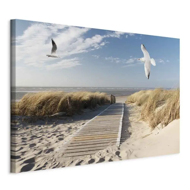 Foto auf Leinwand Strand und Möwen Breit - Sommerhimmel und Meer in der ...