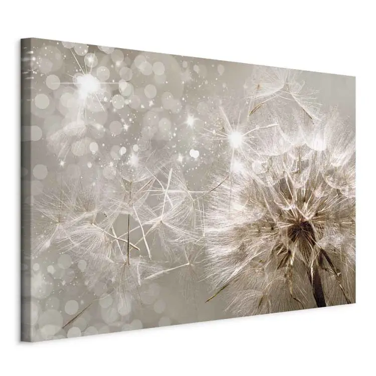 Leinwandbilder Im Glanz der Pusteblume - Pusteblumensamen im Wind ...