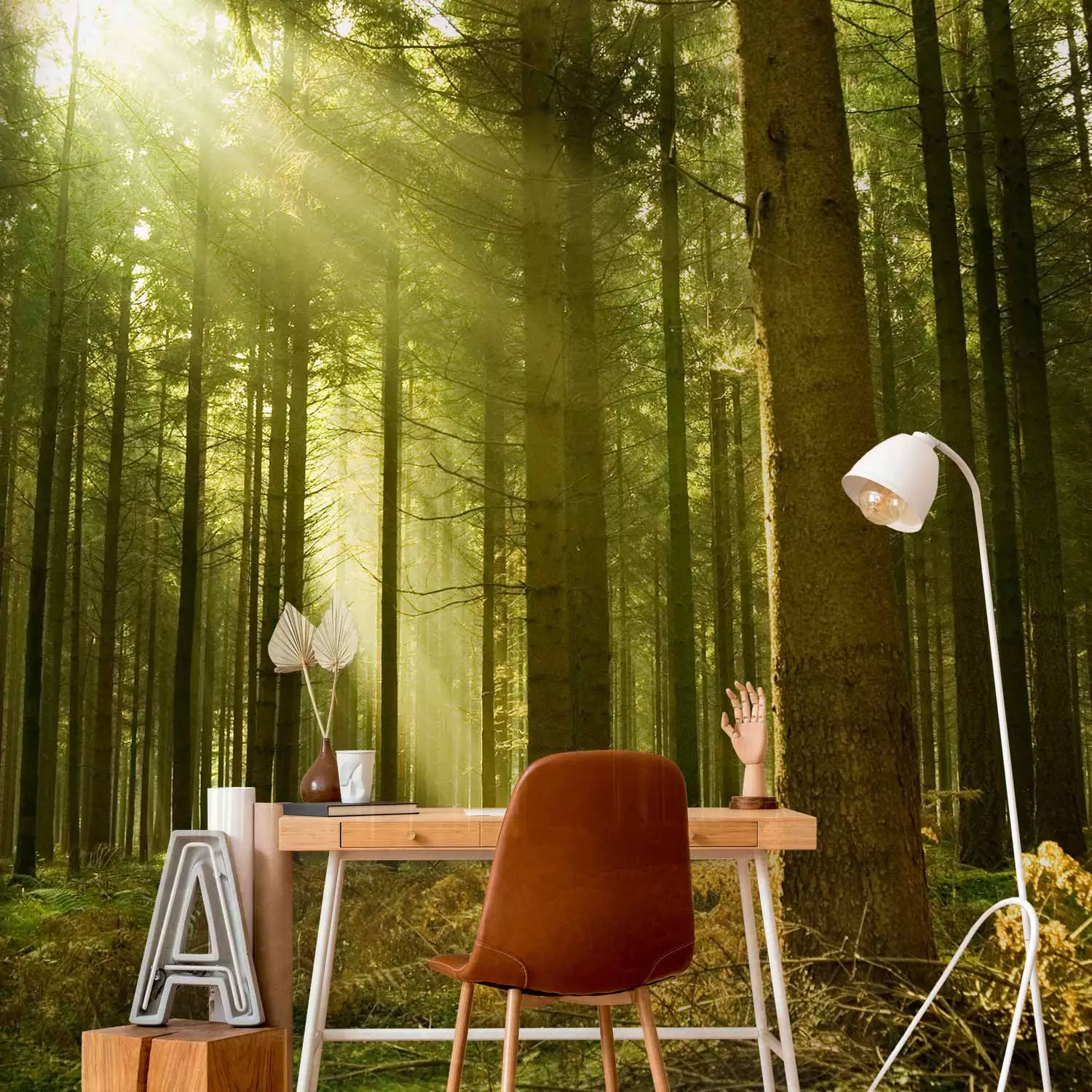 Kiefernwald Zeichnungen Waldprojekte Eqviva