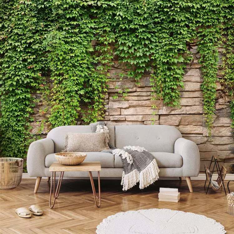 Fototapete günstig Efeu Wand - Ziegel - bimago